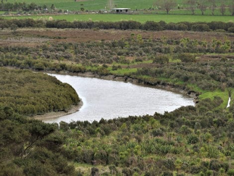 Rural Subdivision - Landowners & Environment Win/Win