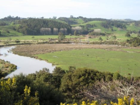 Rural Subdivision - Landowners & Environment Win/Win