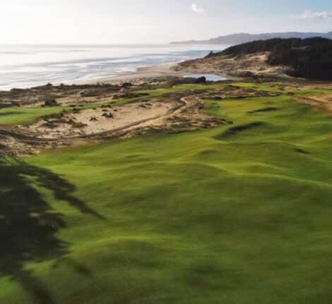 Te Arai | Golf course and premier subdivision