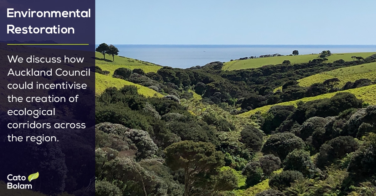Environmental Restoration - Where to for Auckland Region? - Cato Bolam ...
