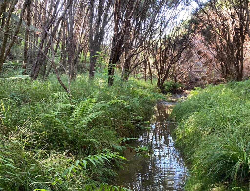 Making Sense of the RMA Reform - Cato Bolam Consultants